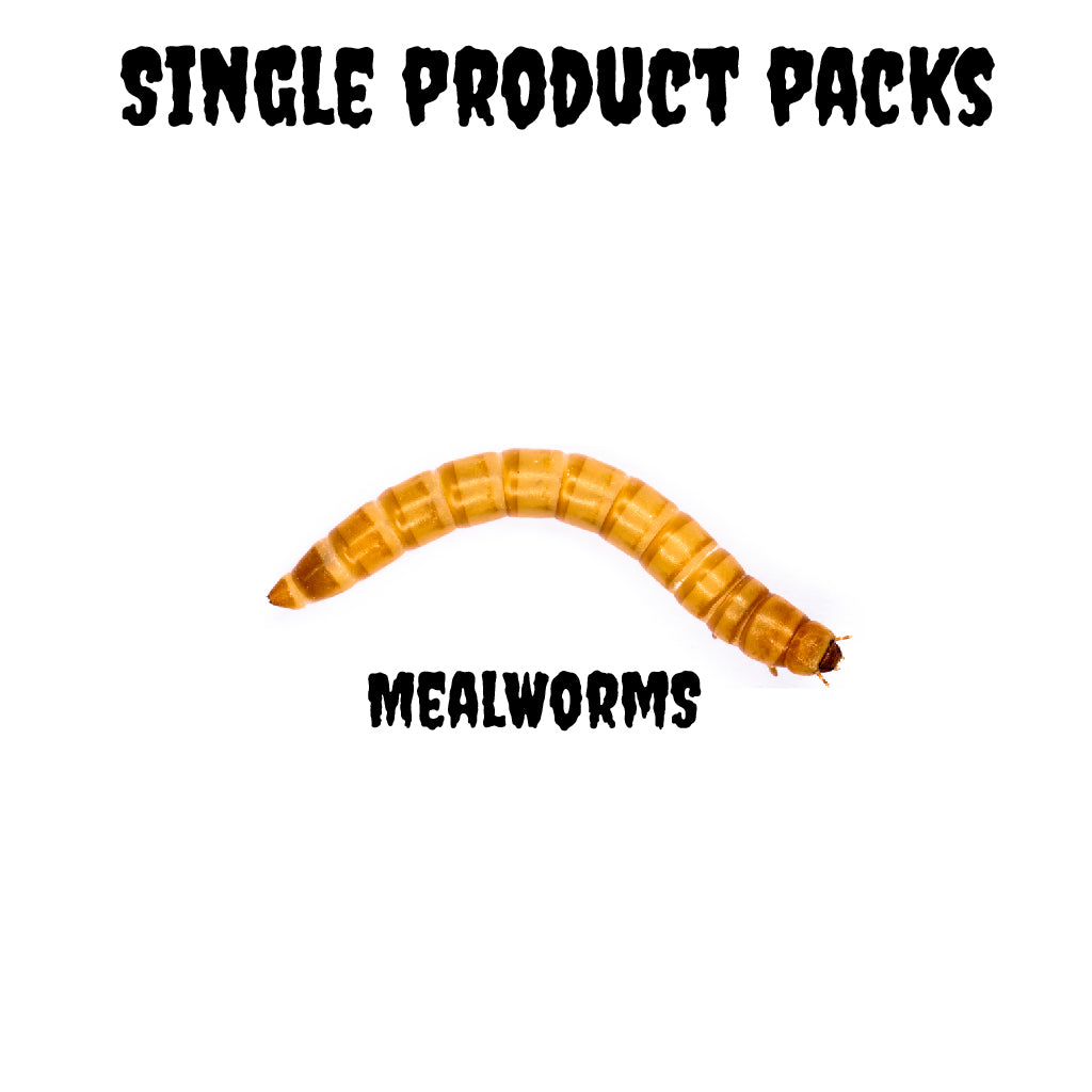 Mealworms (Single Product Packs)